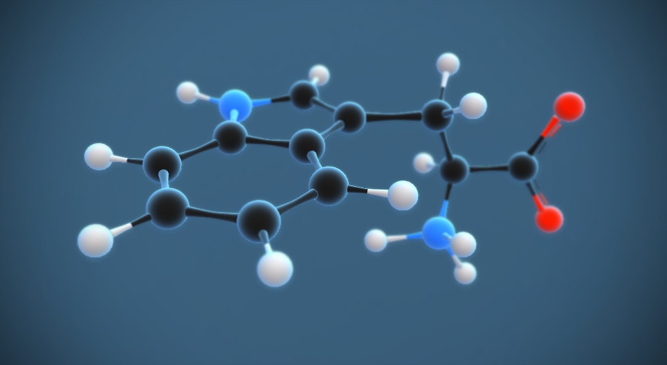 Tryptophan - 3D scene - Mozaik Digital Education and Learning