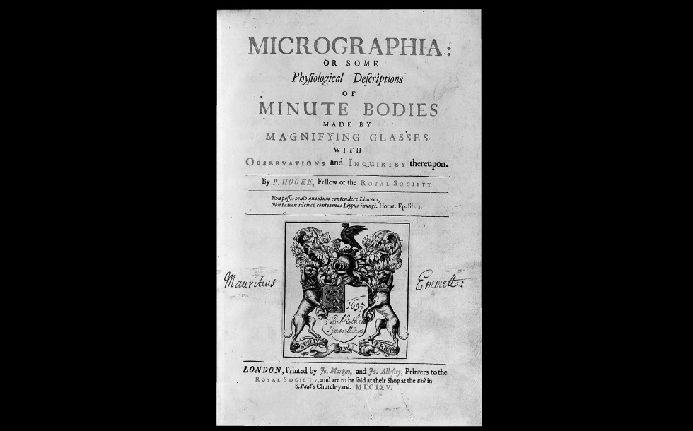 The invention of the microscope: Hooke and Leeuwenhoek - 3D scene ...