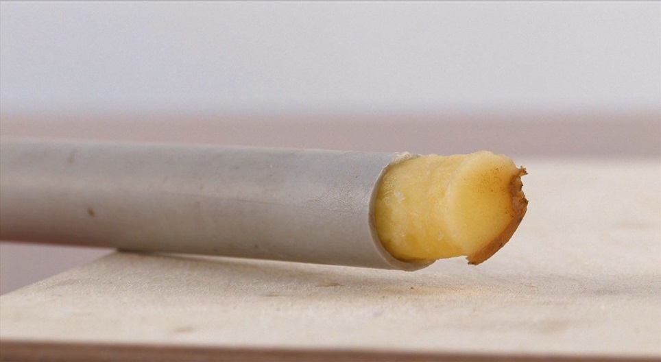 Potato gun - video - Mozaik Digital Education and Learning