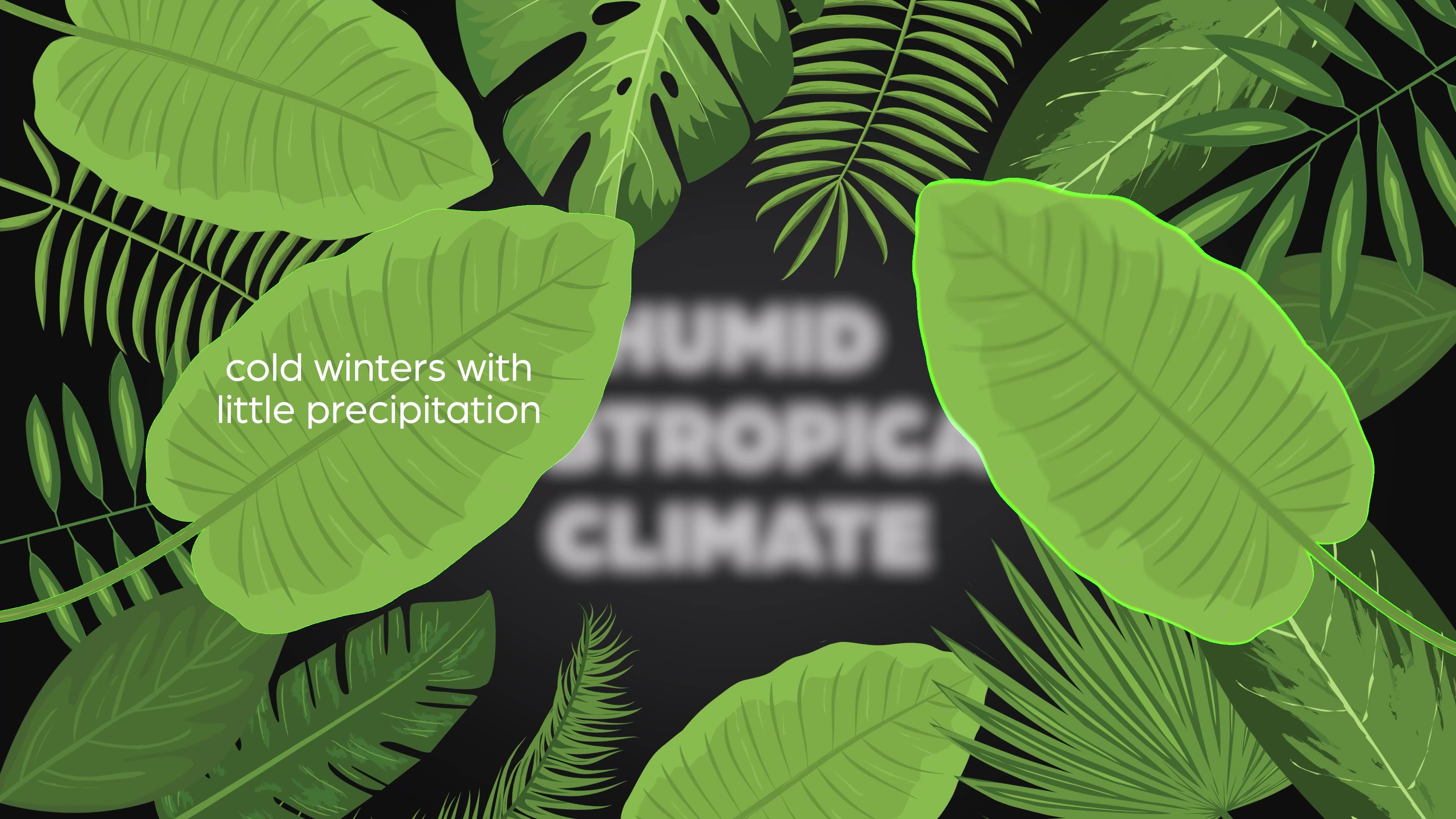 The subtropics - video - Mozaik Digital Education and Learning