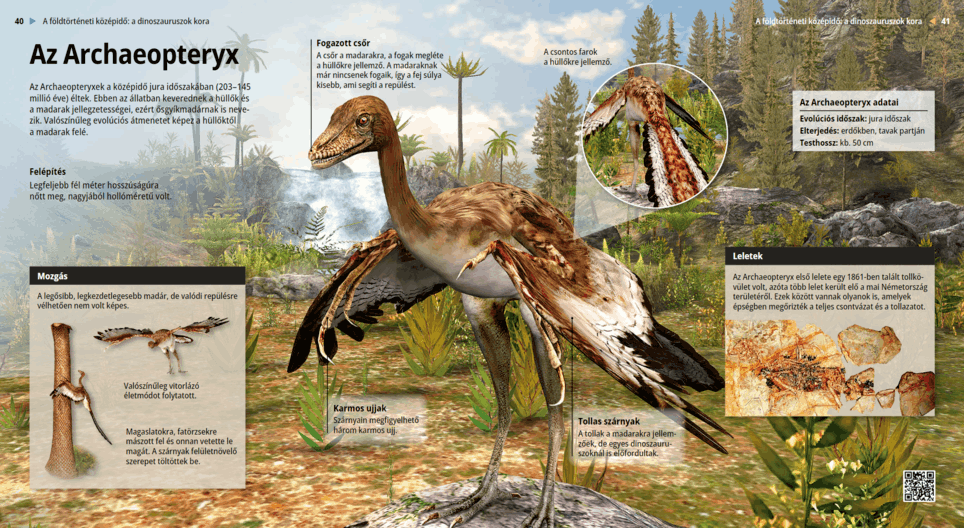 Los arqueópterix - Lección digital - Educación digital y aprendizaje Mozaik