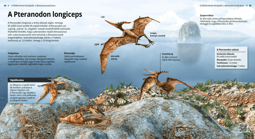 El Pteranodon longiceps - Lección digital - Educación digital y ...