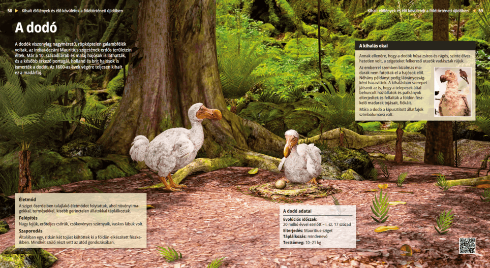 El dodo - Lección digital - Educación digital y aprendizaje Mozaik