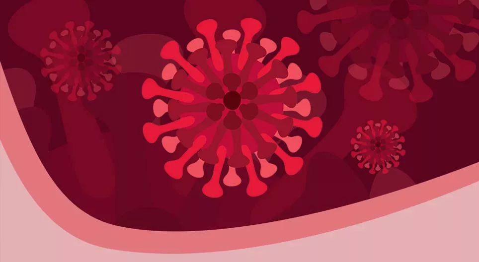 Cosas que deberías saber sobre los coronavirus y la COVID-19. - Lección ...