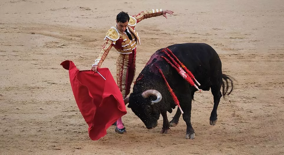 ¿Cómo ven la muleta roja los toros? – La visión de los animales ...
