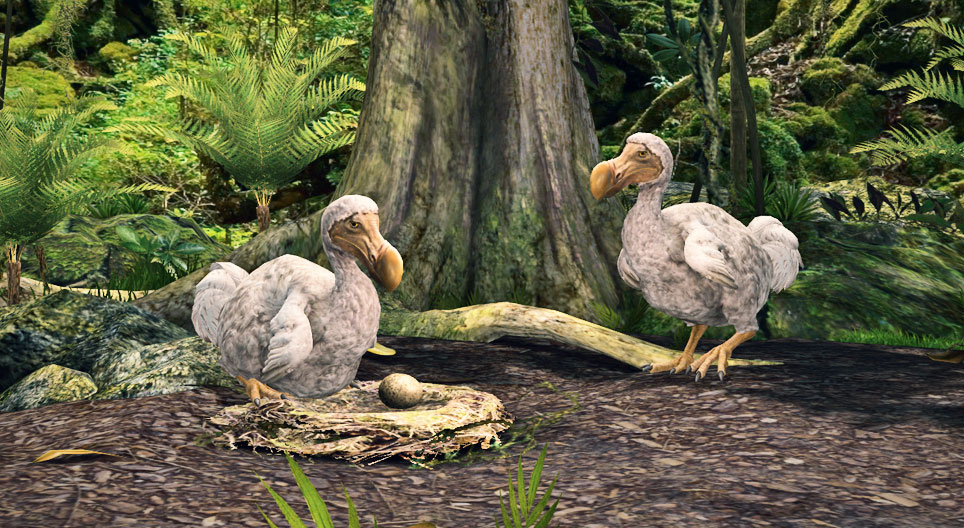 Dodo - escena en 3D - Educación digital y aprendizaje Mozaik