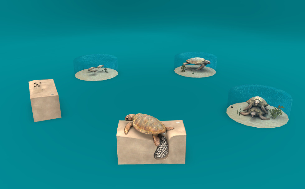 Tortuga boba - escena en 3D - Educación digital y aprendizaje Mozaik