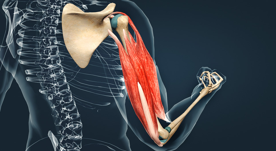 Reflejo de flexión - escena en 3D - Educación digital y aprendizaje Mozaik