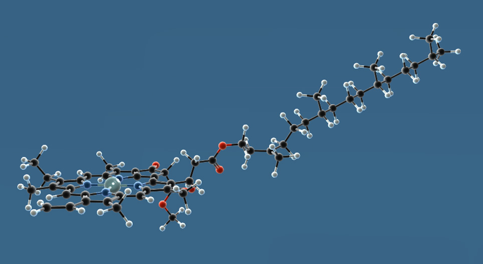 Clorofila - escena en 3D - Educación digital y aprendizaje Mozaik