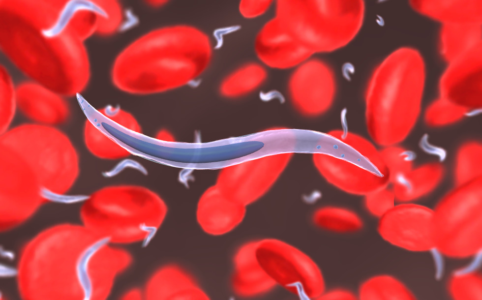 Malaria - escena en 3D - Educación digital y aprendizaje Mozaik