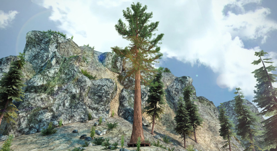 Secoya gigante - escena en 3D - Educación digital y aprendizaje Mozaik