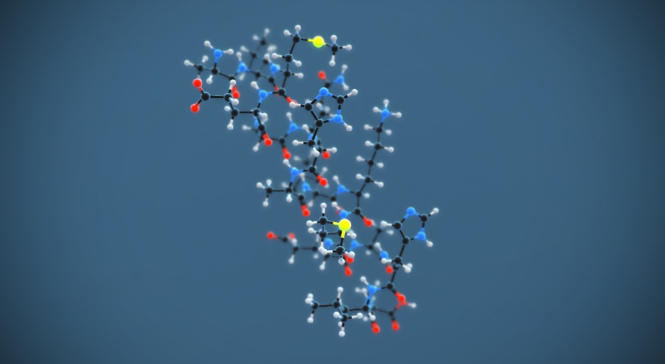 La estructura secundaria de las proteínas - escena en 3D - Educación ...