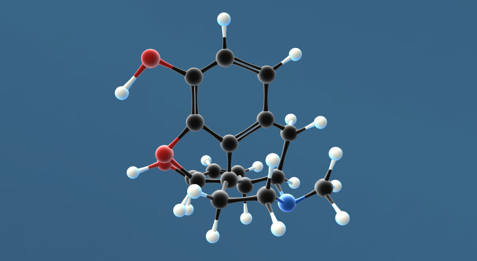 Morphine - escena en 3D - Educación digital y aprendizaje Mozaik