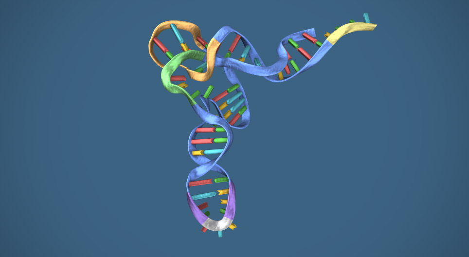 ARN - escena en 3D - Educación digital y aprendizaje Mozaik