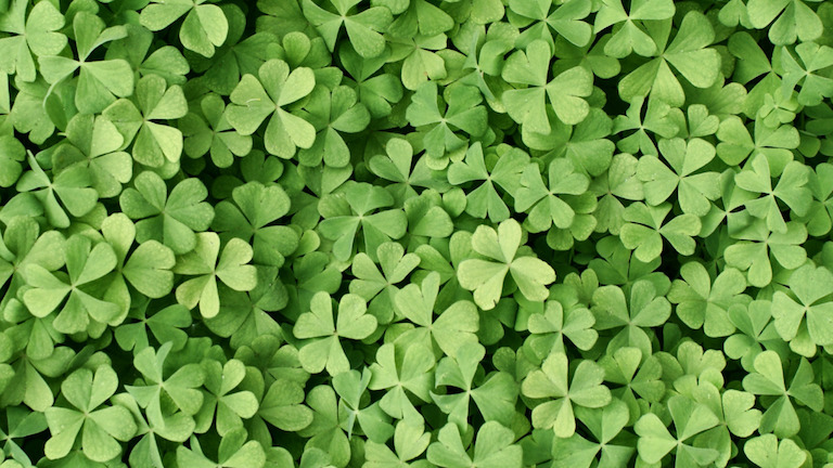 El trébol - vídeo - Educación digital y aprendizaje Mozaik