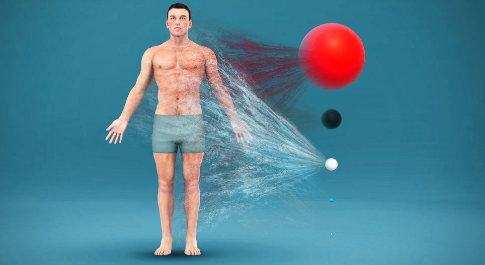 Millest koosneb inimese keha? - 3D scene - Mozaik Digital Education and ...