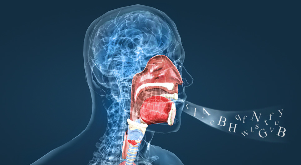 The mechanism of taste reception - 3D scene - Mozaik Digital Education ...