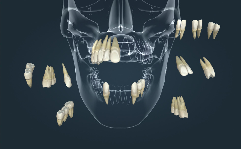 Human teeth - صحنه سه‌بعدی - آموزش ویادگیری دیجیتالی موزاییک