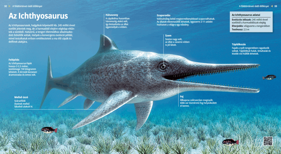 Ichthyosaurus - Leçons numériques - Enseignement et apprentissage ...