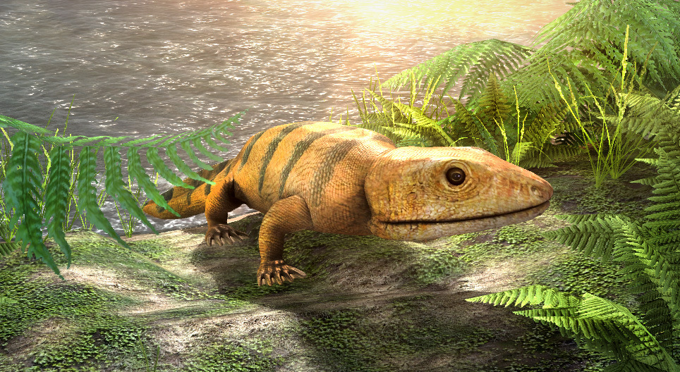 Ichthyostega - scène 3D - Enseignement et apprentissage numériques Mozaik