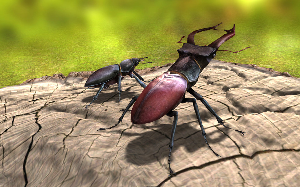 Lucane - scène 3D - Enseignement et apprentissage numériques Mozaik