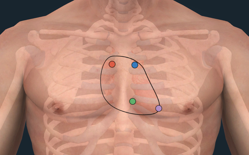 L'anatomie du cœur - scène 3D - Enseignement et apprentissage ...