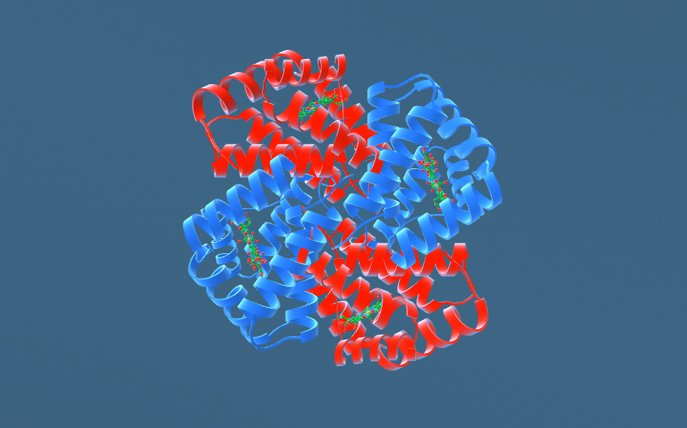 Structure des protéines - scène 3D - Enseignement et apprentissage ...