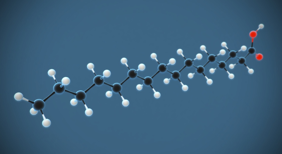 Acide palmitique (acide hexadécanoïque) (C₁₅H₃₁COOH) - scène 3D ...