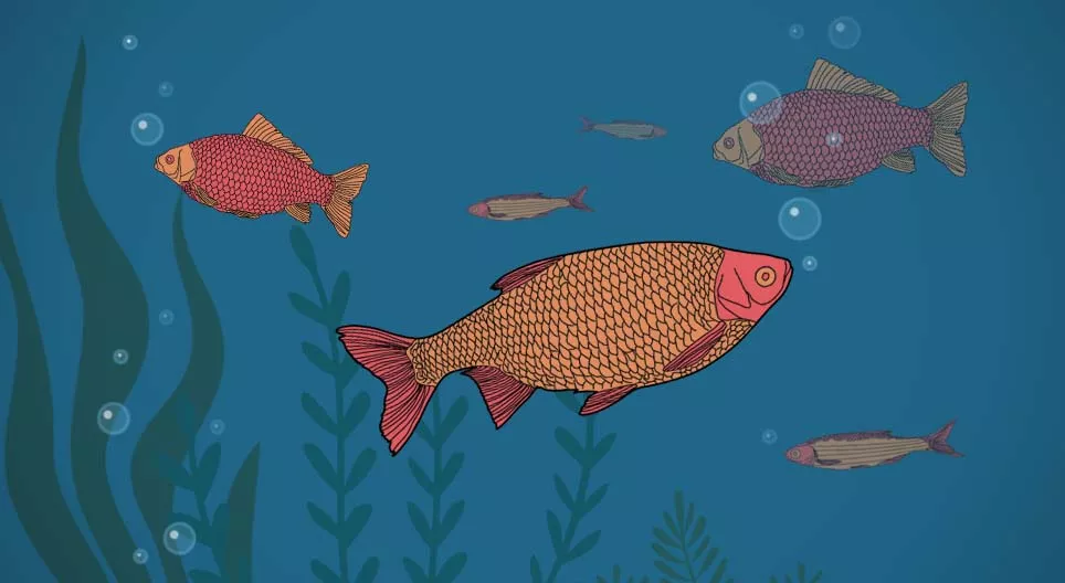 Piju li ribe vodu? - Digitalna lekcija - Mozaik digitalno obrazovanje i ...