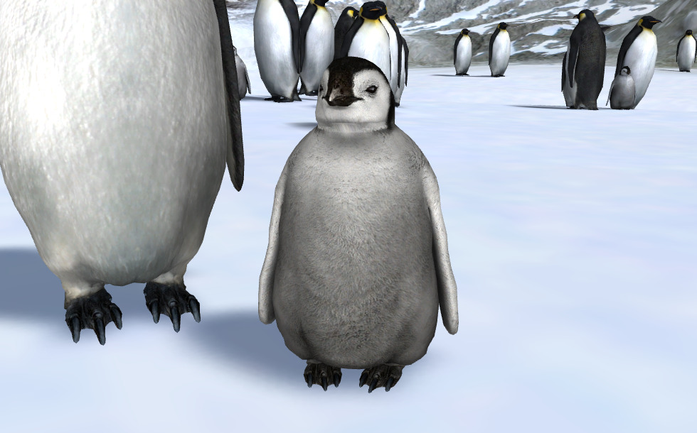 Carski pingvin - 3D scene - Mozaik digitalno obrazovanje i učenje