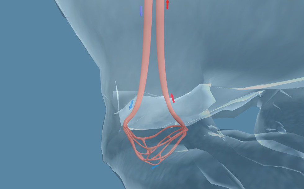 Carski pingvin - 3D scene - Mozaik digitalno obrazovanje i učenje