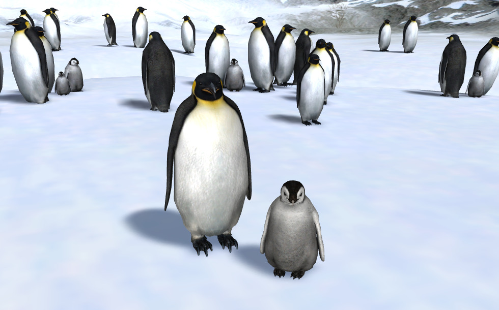 Carski pingvin - 3D scene - Mozaik digitalno obrazovanje i učenje