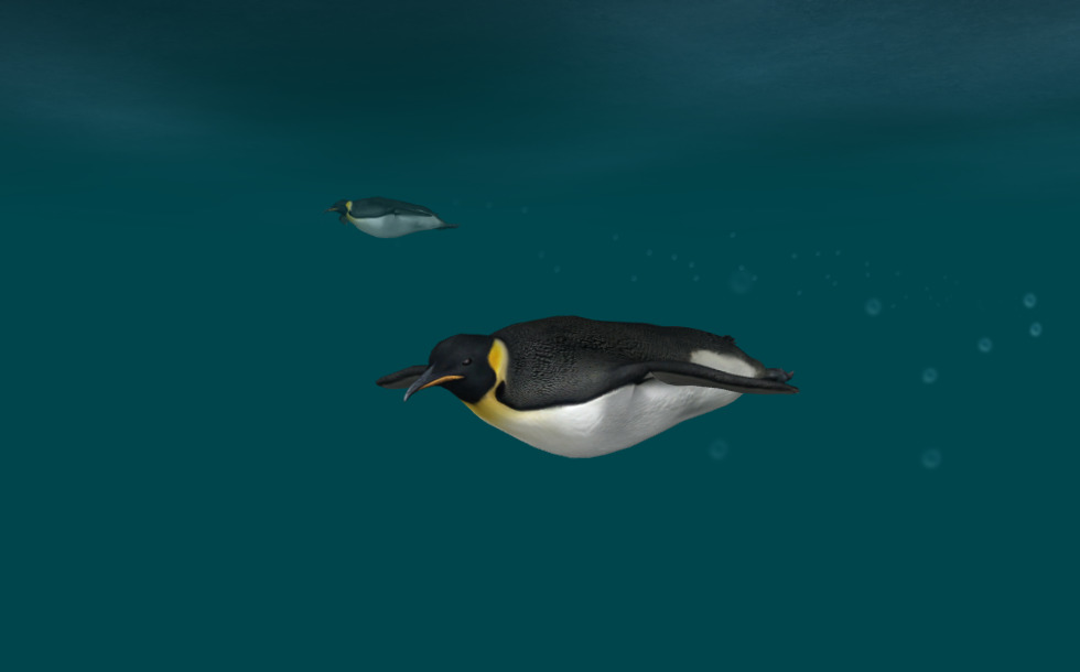 Carski pingvin - 3D scene - Mozaik digitalno obrazovanje i učenje