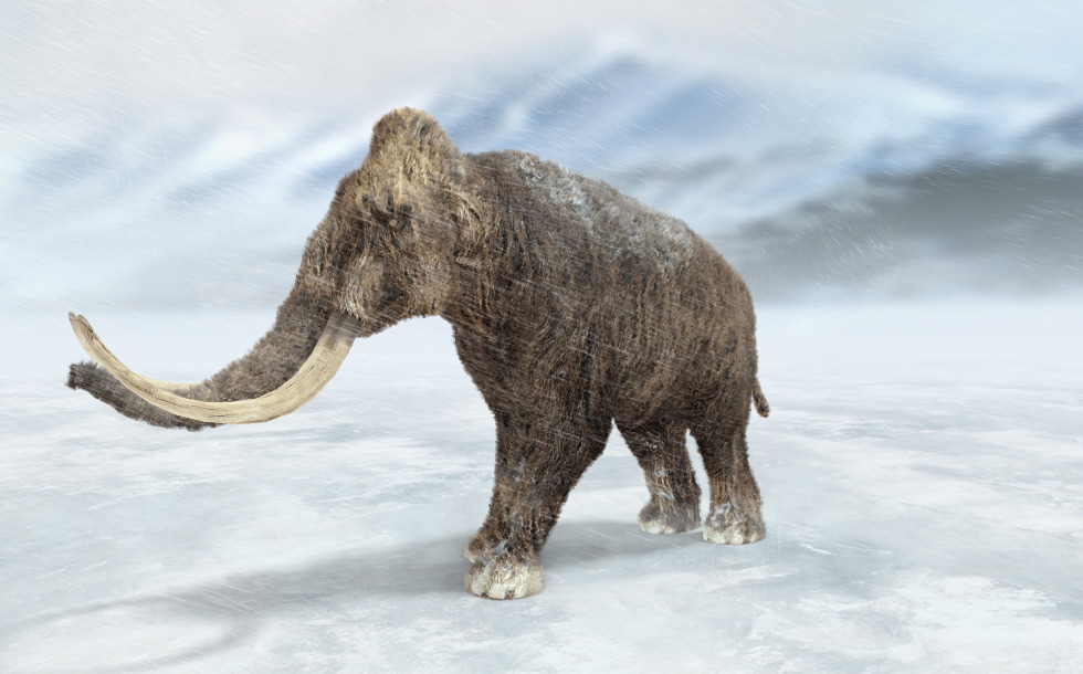 Vunasti mamut - 3D scene - Mozaik digitalno obrazovanje i učenje