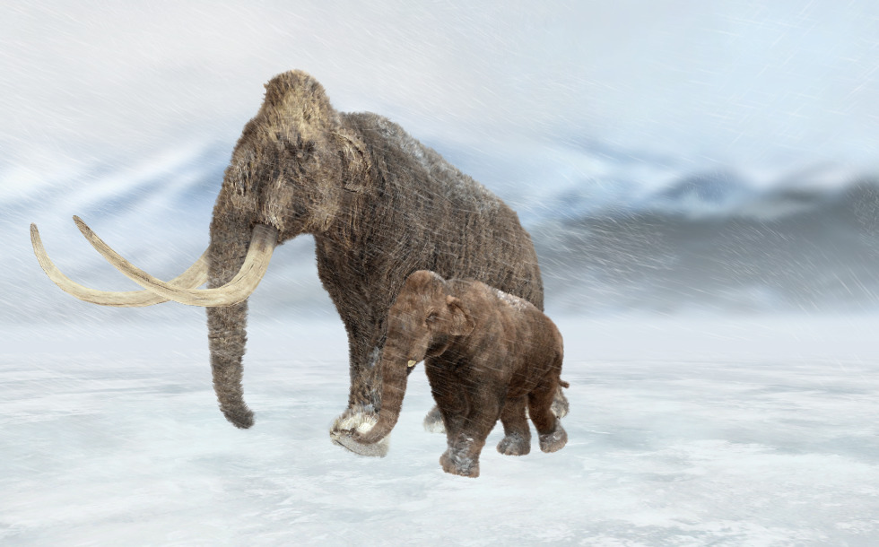 Vunasti mamut - 3D scene - Mozaik digitalno obrazovanje i učenje