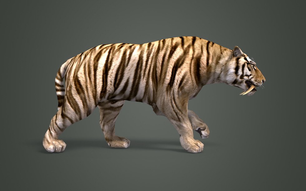 Sabljozubi tigar - 3D scene - Mozaik digitalno obrazovanje i učenje