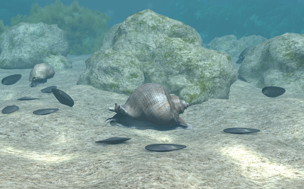 Azijski volak - 3D scene - Mozaik digitalno obrazovanje i učenje