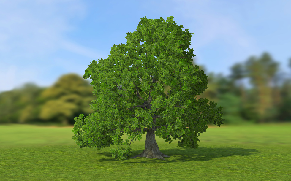 Hrast (početni stupanj) - 3D scene - Mozaik digitalno obrazovanje i učenje