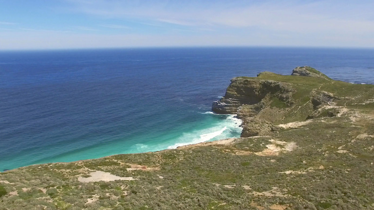 Morski svijet - video - Mozaik digitalno obrazovanje i učenje