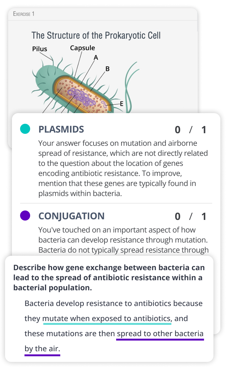 Autograded GCSE Combined Science Practice Questions - Mozaik digitális ...