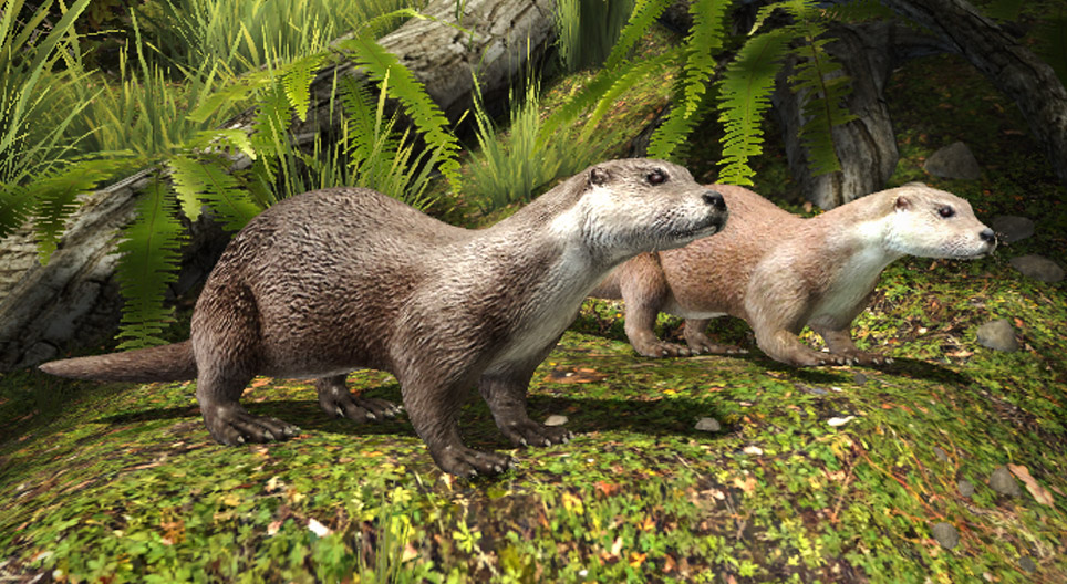 Európai vidra - 3D modell - Mozaik digitális oktatás és tanulás