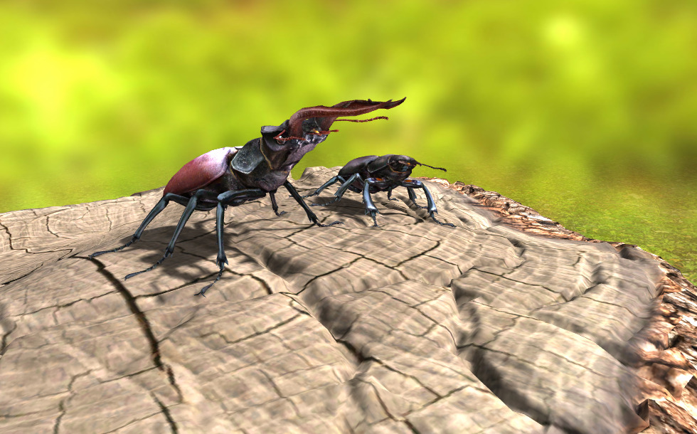 Szarvasbogár - 3D modell - Mozaik digitális oktatás és tanulás
