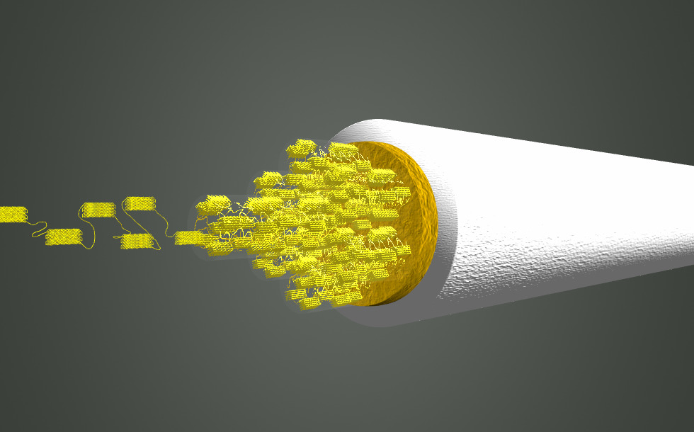 Seta di ragno, ragnatela - animazione 3D - Insegnamento e apprendimento ...