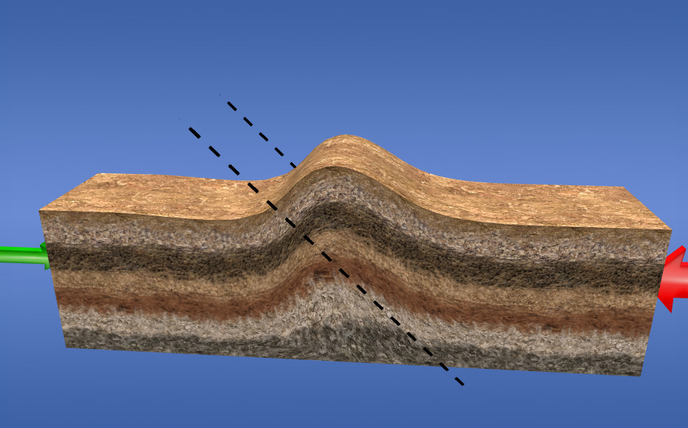 Piegamento (livello avanzato) - animazione 3D - Insegnamento e ...