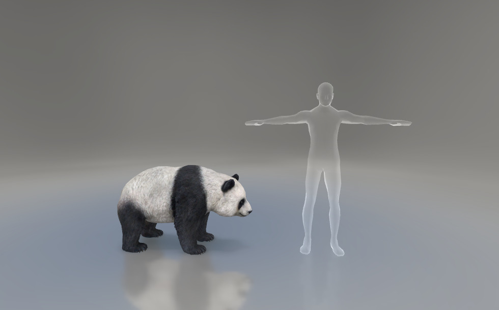 대왕판다 - 3D 애니메이션 - Mozaik 디지털 교육과 공부