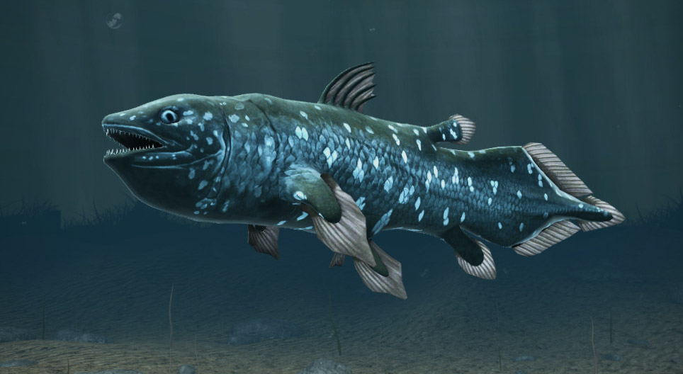 West Indian Ocean coelacanth - 3D vaizdas - „Mozaik“ skaitmeninis ...