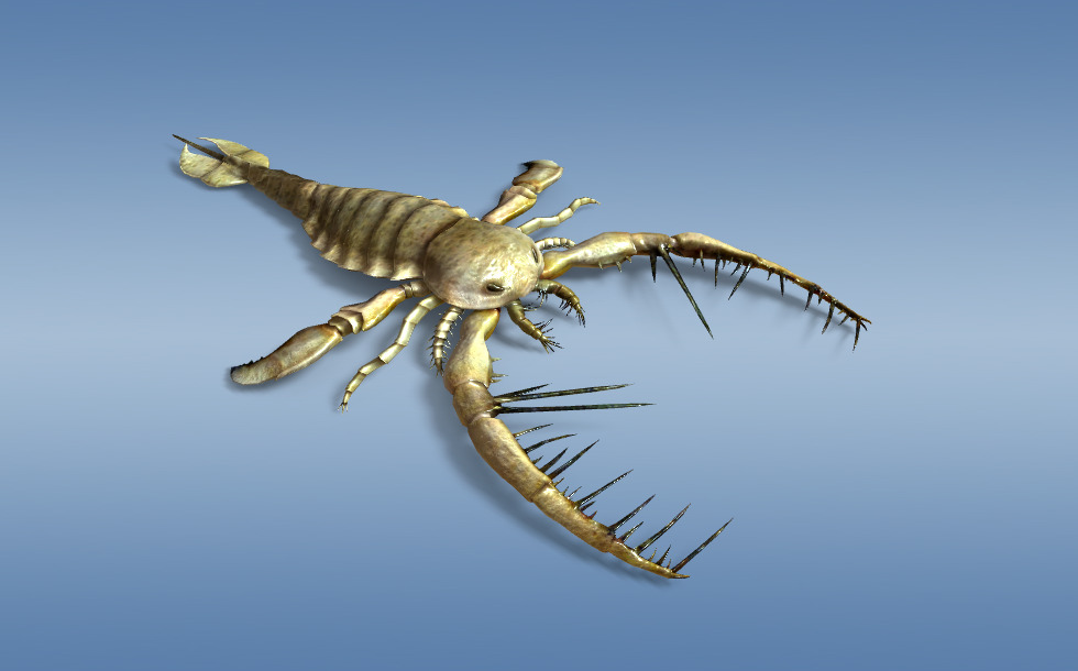 Monsters of the Palaeozoic: sea scorpions - 3D vaizdas - „Mozaik ...