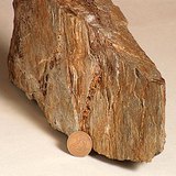 Filita - imagen - Educación digital y aprendizaje Mozaik