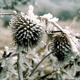 Inje - slika - Mozaik digitalno obrazovanje i učenje