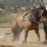 Labranza - imagen - Educación digital y aprendizaje Mozaik